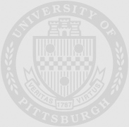 Untitled Document [www.engr2.pitt.edu]